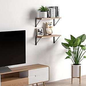 HOBBYMATE Floating Shelves, Wall Mounted Bathroom Storage Organizer Wood Shelf, Home Display Decoration Wall Shelf, Pack of 2