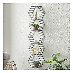 PIBM Stylish Simplicity Shelf Wall Mounted Floating Rack Shelves Metal Iron Art Hexagon Lattice Decoration Flower Pot Holder Simple Sturdy,5 Layers 2 Size, Black , 28.5x20x121cm