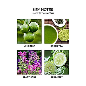 NEST New York Lime Zest & Matcha Scented 3-Wick Candle