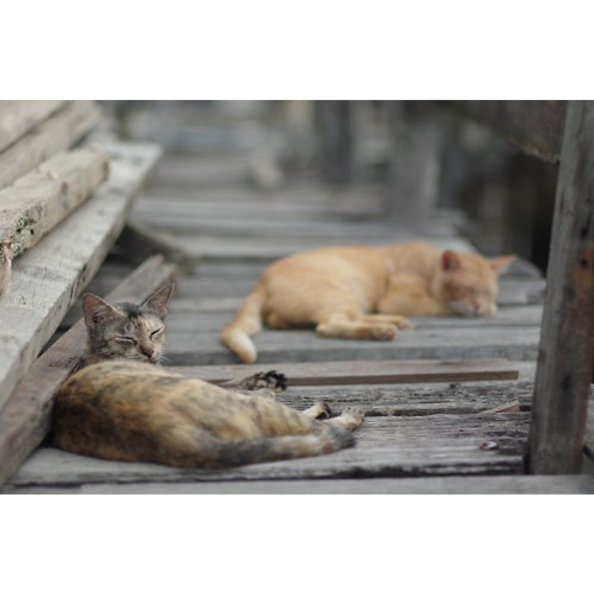 Pentax Digital SLR Camera K-3 18-135WR