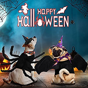 6 Pcs Pet Halloween Costumes Dogs Spider Costume Puppy Cats Bat Wings Costume with 2 Halloween Dog Bandanas 2 Halloween Pumpkin Witch Hat Halloween Pets Cosplay Costumes Accessories for Dog Cat Puppy