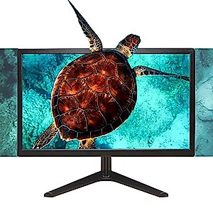 RAYPODO 18.5 inch PC Monitor with VGA Monitor (Black), RPD-1850
