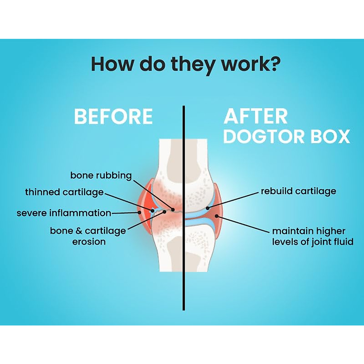 Dogtor Box Vet-Formulated All-Natural Joint Supplement for Dogs with Glucosamine, Chondroitin, MSM, Collagen - 120 Soft Chews Proudly Made in USA