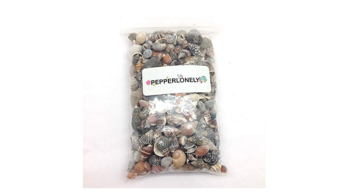 PEPPERLONELY Small Mix Sea Shells - 8 OZ for Crafting