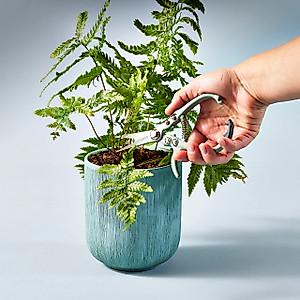 Modern Sprout Gardening Shears, Lightweight, Green, One Size