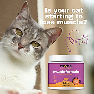 MYOS Feline Muscle Formula - Powered by Fortetropin for Senior Cats - Aids Weight Gain, Muscle Growth & Mobility Support - Natural, Cat Nutritional Supplement - 180 Servings