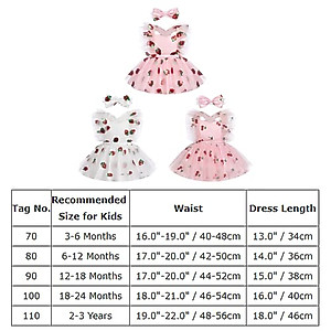 Strawberry Birthday Decoration Berry First Birthday Party Supplies, Berry Sweet One Birthday Cake Smash Princess Photoshoot Tutu Ruffle Backless Toddler Ceremony Dress White - berry 12-18 Months