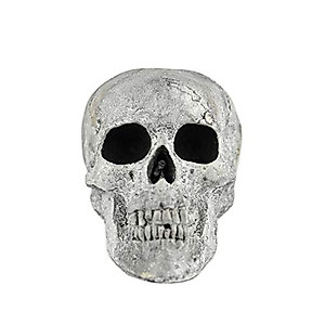 Myard Fireproof Imitated Human Fire Pit Skull Gas Log for NG, LP Wood Fireplace, Firepit, Campfire, Halloween Decor, BBQ (Qty 1, White - Mini, One Piece)