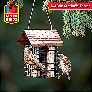 More Birds Double Suet Cage Bird Feeder with Metal Roof, Fruit and Suet Feeder, 2 Suet Cake Capacity