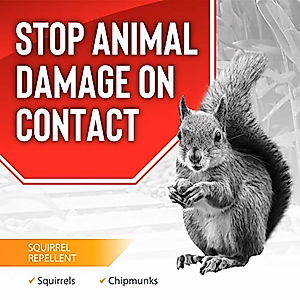 Squirrel Stopper Animal Repellent - Safe & Effective, All Natural Food Grade Ingredients; Repels Squirrels and Chipmunks; Ready to Use, 32 fl. oz. Trigger Spray Bottle