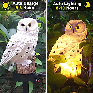 DUODEAN Solar Garden Lights, Cute White Owl Statues Waterproof Outdoor Decorations, Resin Animal Ornaments Gifts for Grandma Yard Lawn Pathway Flower Fence Art