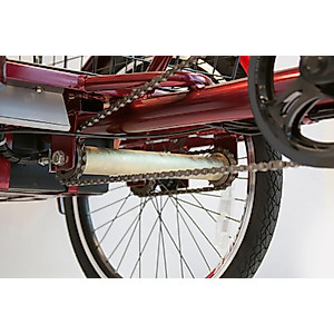 NLBFOU 22" Electric Trike,Electric Tricycle for Adult,350W Motor, 48V 13AH UL Certified Removable Lithium Battery ebike,3 Wheels Electric Bicycle with Large Basket for Men Women Senior