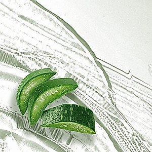 Herbal Essences bio:renew Sulfate Free Hemp + Potent Aloe Shampoo and Conditioner Set, 20.2 Fl Oz Each — Nourishes Dry Hair for Frizz Control, Paraben and Cruelty Free — Safe for Color Treated Hair