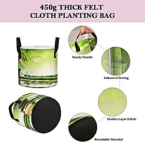 xigua 5 Gallon Plant Grow Bags with Strap Handles,Heavy Duty Thickened Nonwoven Aeration Fabric Pots Durable Container for Garden, Bamboo Stalks Candle and Basalt Stones