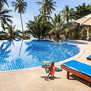 Serving Tray for Beer Vacation Party Drink Serving Parrot Butler, Parrot Butler Statue Bird Drink Serving , Retro Indoor Living Room Pool Kitchen Handicraft Decoration (22X12x20cm)