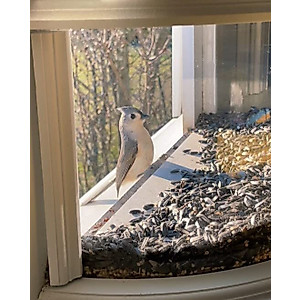 Amish Custom Made Indoor in-Window Bird Feeder, 180° Clear View In-House Feeder, Watch Wild Birds from The Comfort of Your Home - Easy-Fill (29"-36" Window Width)