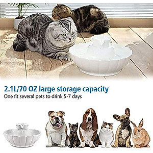 iPettie Tritone Ceramic Pet Drinking Fountain丨Ultra Quiet, Way Better Than Plastic丨Water Fountains for Cats and Dogs 2.1 Liters Pet Water Dispenser with Replacement Filters and Foam, White
