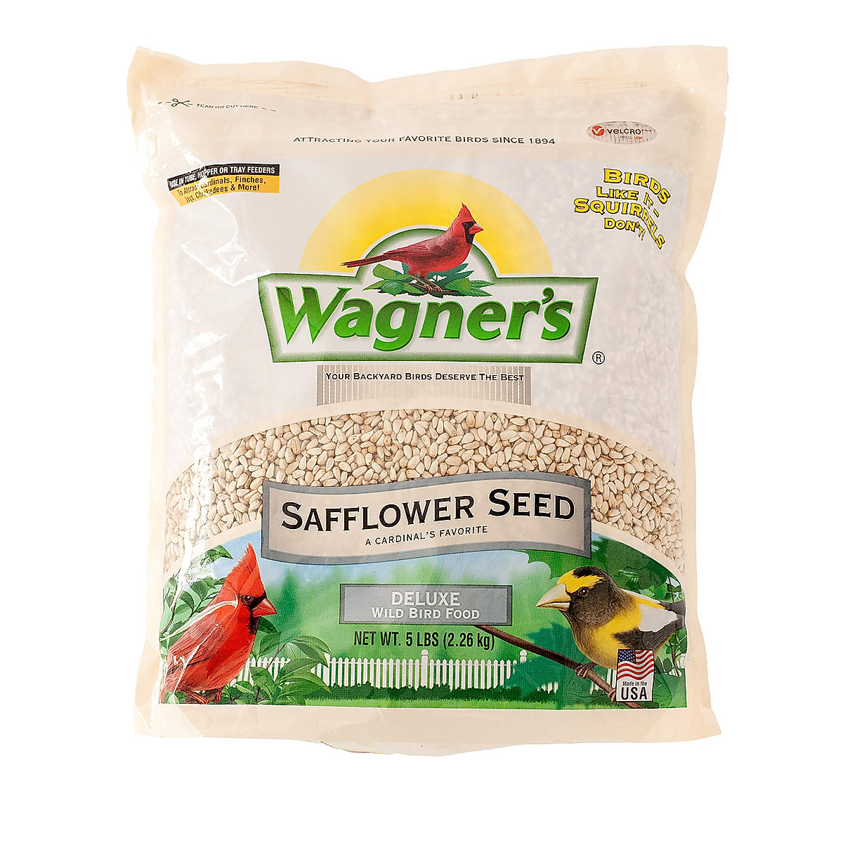 Morning Song Sunflower Wild Bird Food Bundle (5.5 lbs) | Wagner's Safflower Seed (5 lbs)
