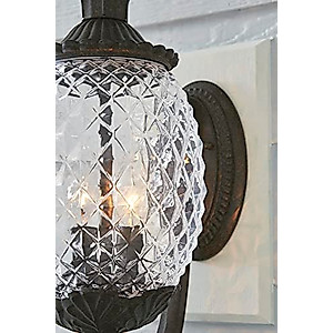 Acclaim 7501BC Lanai Collection 2-Light Wall Mount Outdoor Light Fixture, Black Coral