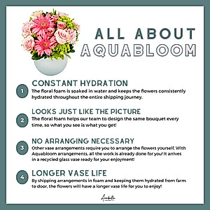 Delivery by Mon 8th July | Rejuvenate | Purple, White Fresh Flowers Aquabloom Arrangement with Vase | Arabella Bouquets | Flowers for Delivery, Birthday, Congratulations | Premium Hydrated Shipping