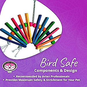 Super Bird Creations SB702 Peacock Sr. Bird Toy, Large Bird Size, 14” x 11” x 1.5”