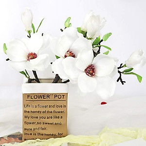 6 Stems Artificial 2 Head Magnolia Flowers, Realistic Silk Flower Bouquet for Floral Arrangements Home Table Decor Photo Props,White