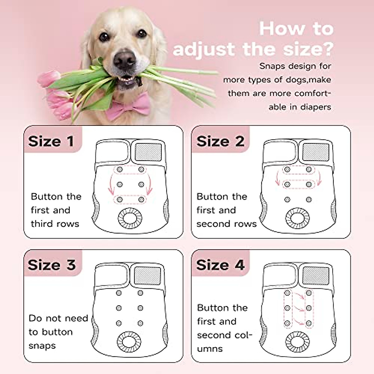 Paw Legend Washable Reusable Female Dog Diapers - No Leak Doggie Diapers for Heat Cycle (3 Pack,X-Small)