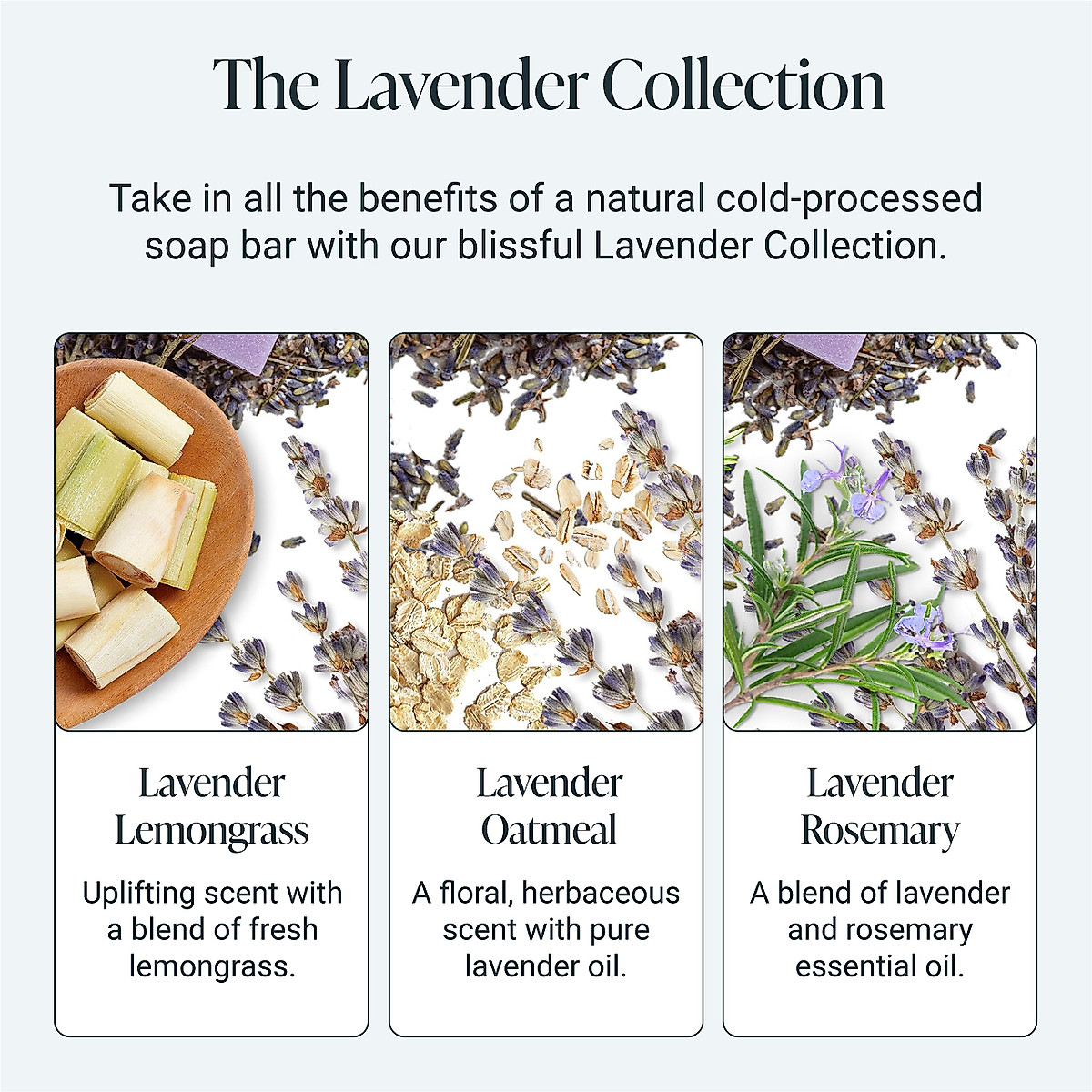 The Bubble Factory Lavender Collection - Handmade in the USA, Palm Oil Free, All Natural Bar Soap, 3 Bar Variety Pack, Lavender Lemongrass, Lavender Oatmeal, Lavender Rosemary
