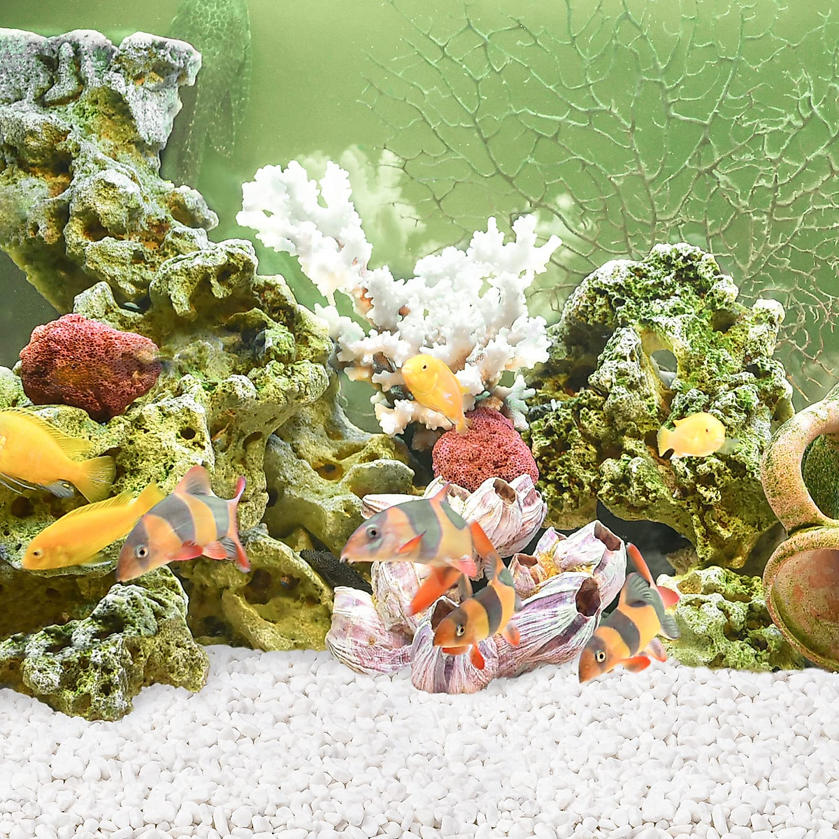 GASPRO 2.5lbs Aquarium Gravel and 5 Pound White Pebbles, White Rocks for Plants, Vases, Natural Decorative Pebbles for Succulents, Terrarium, Cactus