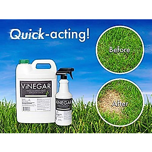 Vinegar Weed & Grass Killer with Sprayer – Weed & Grass Killer Approved for Organic Production | Pet Safe | Glyphosate Free Herbicide - 1 Gallon with Sprayer