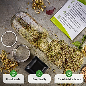 2 Pack Seed Sprouting Jar Lids | For 3.38" Wide Mouth Mason Jars | Fresh Sprouts at Home | Strainer Screen for Canning Jars | 304 Stainless Steel Lid for Growing Broccoli, Alfalfa, Beans & More