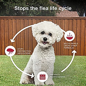 K9 Advantix II Small Dog Vet-Recommended Flea, Tick & Mosquito Treatment & Prevention | Dogs 4-10 lbs. | 6-Mo Supply