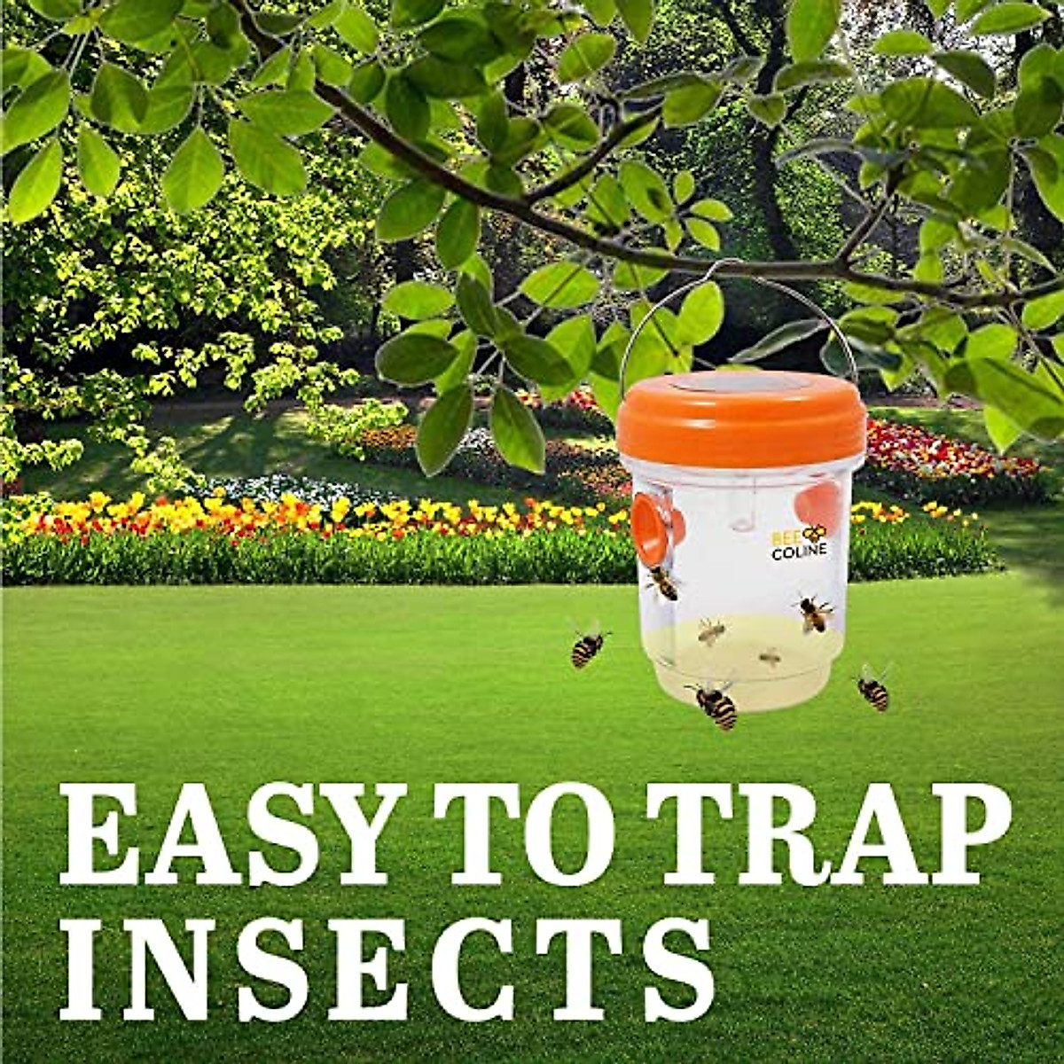 BEE COLINE Wasp Trap Outdoor Hanging - Solar Powered Bee Trap Outdoor - Wasp Killer for Wasps, Hornets, Fruit Flies, and Insects - Effective Insect Trap - Bee Killer and Yellow Jacket Trap Pack of 2