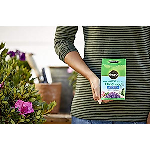 Miracle-Gro 1000701 Pound (Fertilizer for Acid Loving Plant Food for Azaleas, Camellias, and Rhododendrons, 1.5, 1.5 lb
