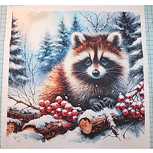 Fabric Panel 14"X14" Winter Raccoon 100% Cotton Quilting Panel Square AM317