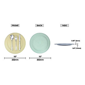 10 Inch Wheat Straw Flat Plastic Plates Set (6 Dinner Plates) - Dishwasher & Microwave Safe - Unbreakable Reusable Lightweight Eco Friendly & BPA Free Dinnerware - Dishes for Kids Toddlers & Adults