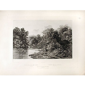 Forest Scene on the Lehigh (Pennsylvania)