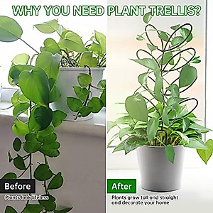 Leaf Trellis for Climbing Plants Indoor, Mini Garden Plant Support for Indoor Plants, Pothos Live Plant for Plant Lovers DIY Planting Vines Vegetables Ivy Hoya Houseplants, 2 Pack Green Metal