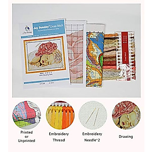 Joy Sunday Cross Stitch Kits Stamped Full Range of Embroidery Starter Kits for Beginners DIY 14CT 2 Strandst- The Beautiful Scenery of Park（Printed 22×17 inches