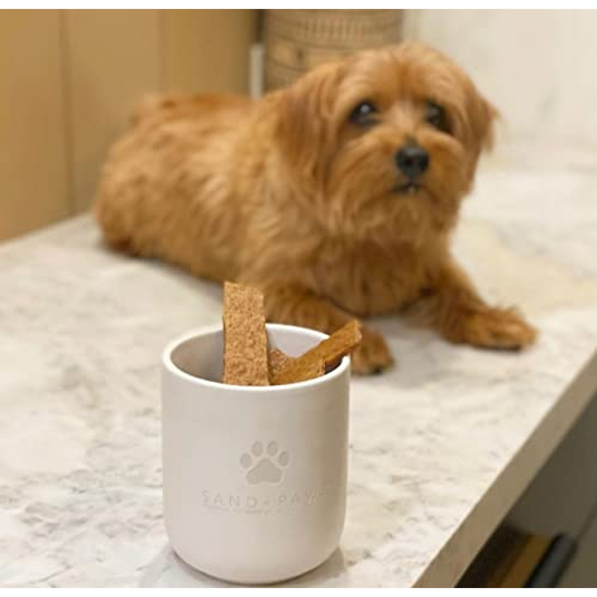 Sand + Paws Scented Candle - Sage & Sea Salt - Additional Scents and Sizes –Luxurious Air Freshening Jar Candles Neutralize pet Odors and Enhance Home décor – 100% Cotton Lead-Free Wicks - 12 oz