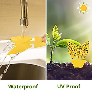 40 Pack Fungus Gnat Traps for House Indoor Yellow Sticky Traps for Plants, Dual-Sided Fungus Gnat Sticky Traps Fruit Fly Traps for Indoors