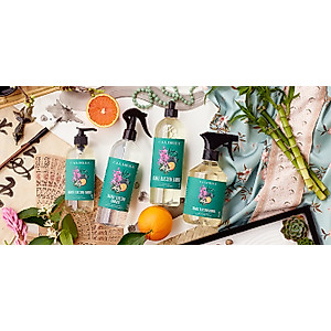 Caldrea Dish Soap, Dishwashing Liquid Made with Soap Bark, Aloe Vera, Orange Peel and Ylang Ylang Flower Essential Oils, Orange Blossom Bamboo Scent, 16 oz