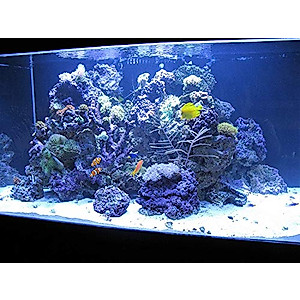 Kolar Labs Crystal Cal Activated Carbon – Large Jar, Activated Charcoal for Aquariums and Fish Tanks