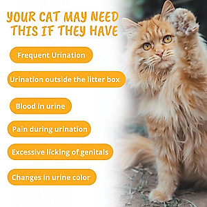 Under The Weather Pet Urinary Tract Support Chews for Cats | Promote Healthy Urinary Function in Cats | 60 Star Shaped Soft Chews