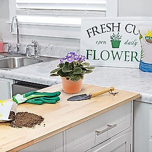 African Violet Potting Soil Mix (8 Quarts), Custom Hand Blended Soil Additive for Indoor Plants