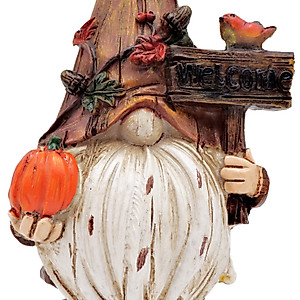 Needzo Cute Autumn Welcome Sign Garden Gnome Holding a Pumpkin, Fall Gnomes for Yard Decoration, Thanksgiving Porch Decorations, 6 Inches
