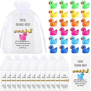 Unittype 24 Sets Inspirational Gift Set You're Great Cheer up Cards Thank You Gift Mini Resin Ducks with Organza Bags Bulk Pocket Favors for Team Students Coworkers Christmas(Colorful)
