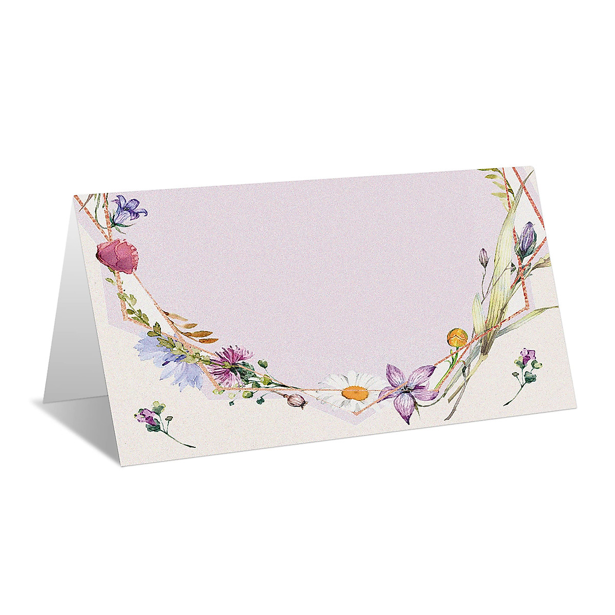 Place Cards for Floral Party, Editable Name Place Cards, Seating Place Cards for Tables, Tent Style Cards for Wedding, Valentine's Day, Bride & Baby Shower, Easy Folding, Pack of 25 Escort Cards(B10)