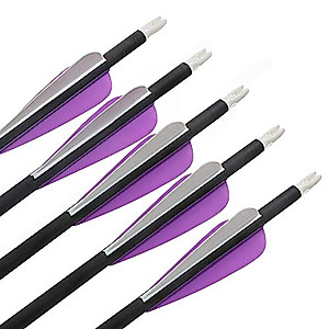 IRQ Archery 31Inch Carbon Arrow Practice Hunting Arrows with Removable Tips for Compound & Recurve Bow(Pack of 12)