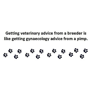 CafePress Getting Veterinary Advice Mug Ceramic Coffee Mug, Tea Cup 11 oz